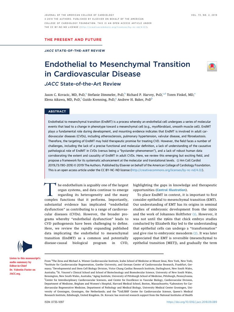 EndoMT 2019 | PDF | Transforming Growth Factor Beta | Cell Signaling