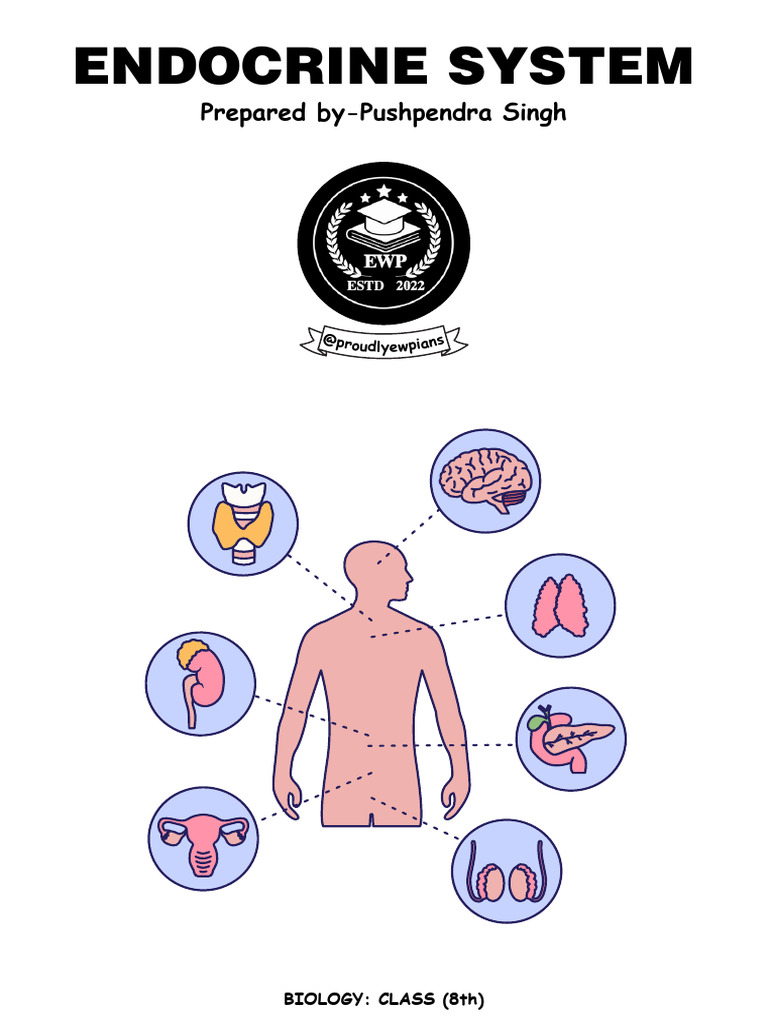 ENDOCRINE SYSTEM | PDF | Endocrine System | Hormone