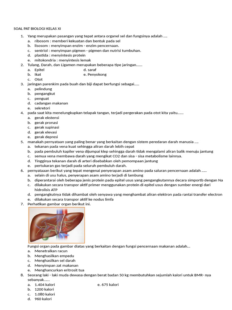 Soal Pat Biologi Kelas Xi 2 | PDF