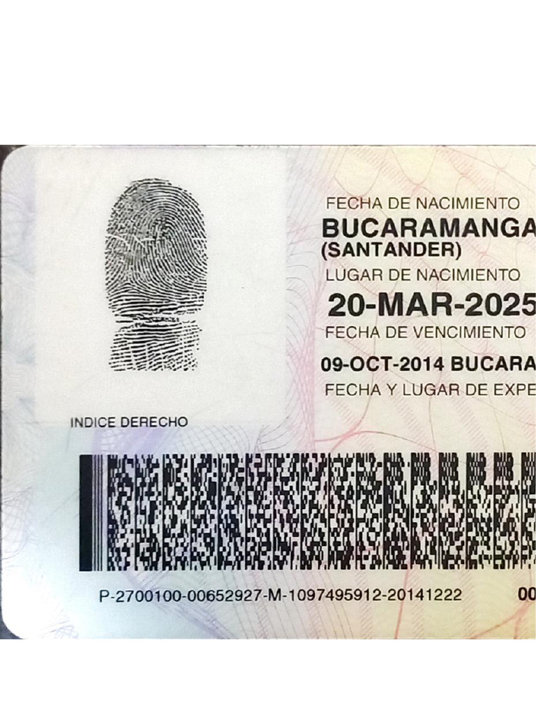 Documento (1) Compress | PDF