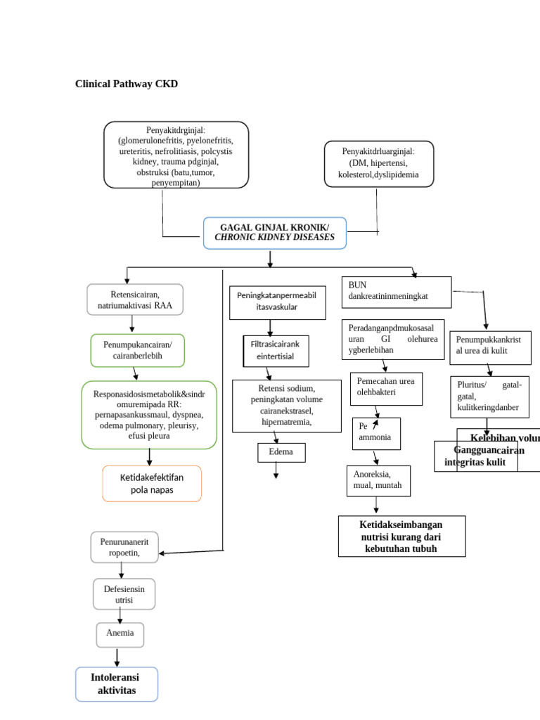 Clinical Pathway CKD | PDF