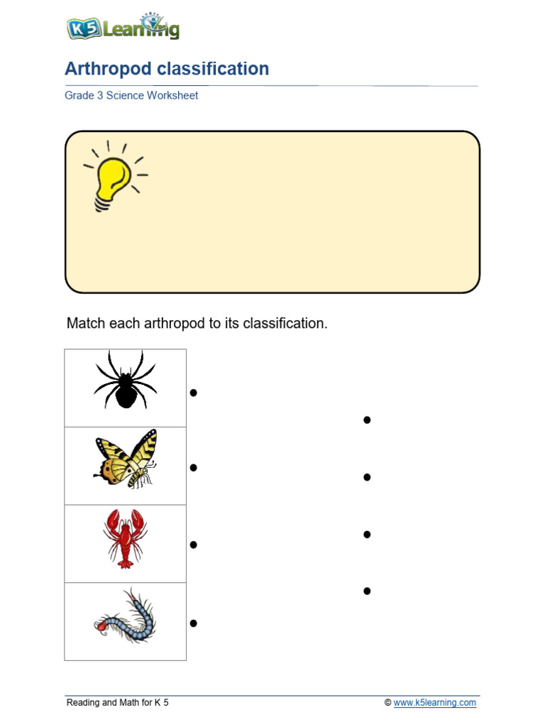 Arthropod Classification Worksheet K-5 | PDF