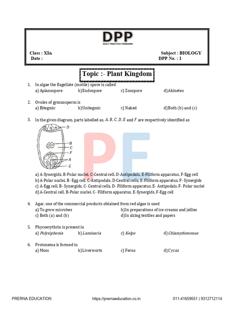 Class XI Biology: Plant Kingdom Quiz | PDF | Plants | Plant Reproduction