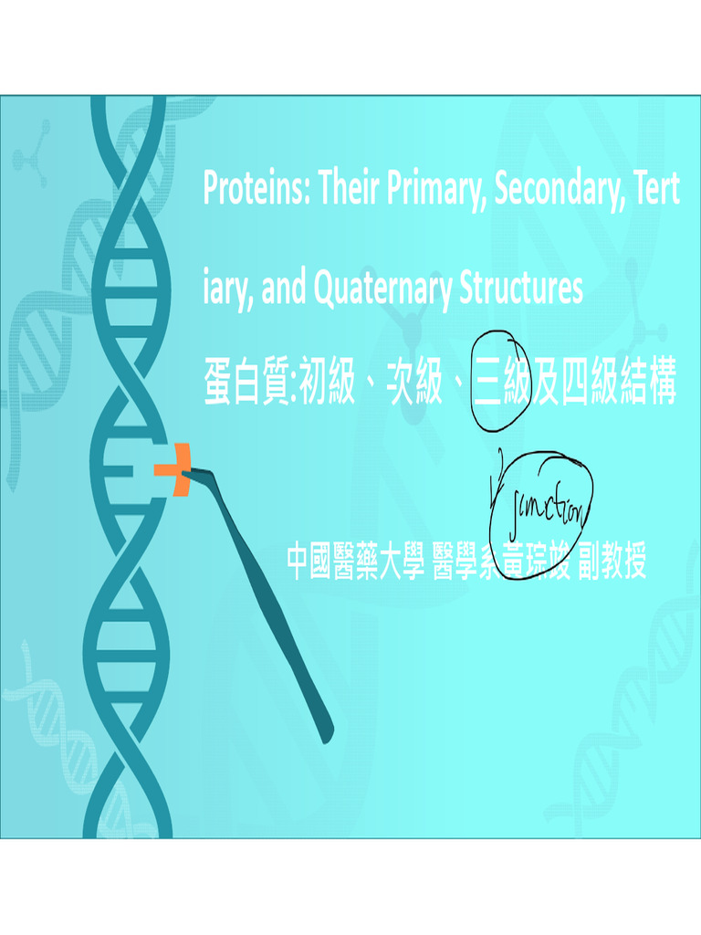Ç Å Ä È È Ç ©-Ch0506-Protein - Primary Structure, Secondary - Tertiary ...