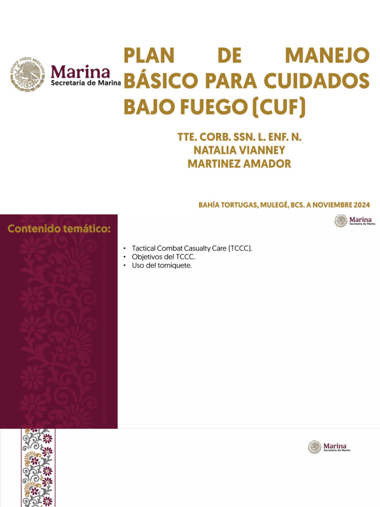 4. Plan de Manejo Básico Para Cuidados Bajo Fuego (Cuf) | PDF
