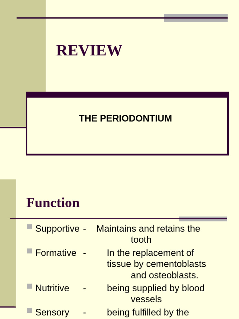 3.PERIODONTIUM. Periodontics. (Done) | PDF | Dental Anatomy | Dentistry ...
