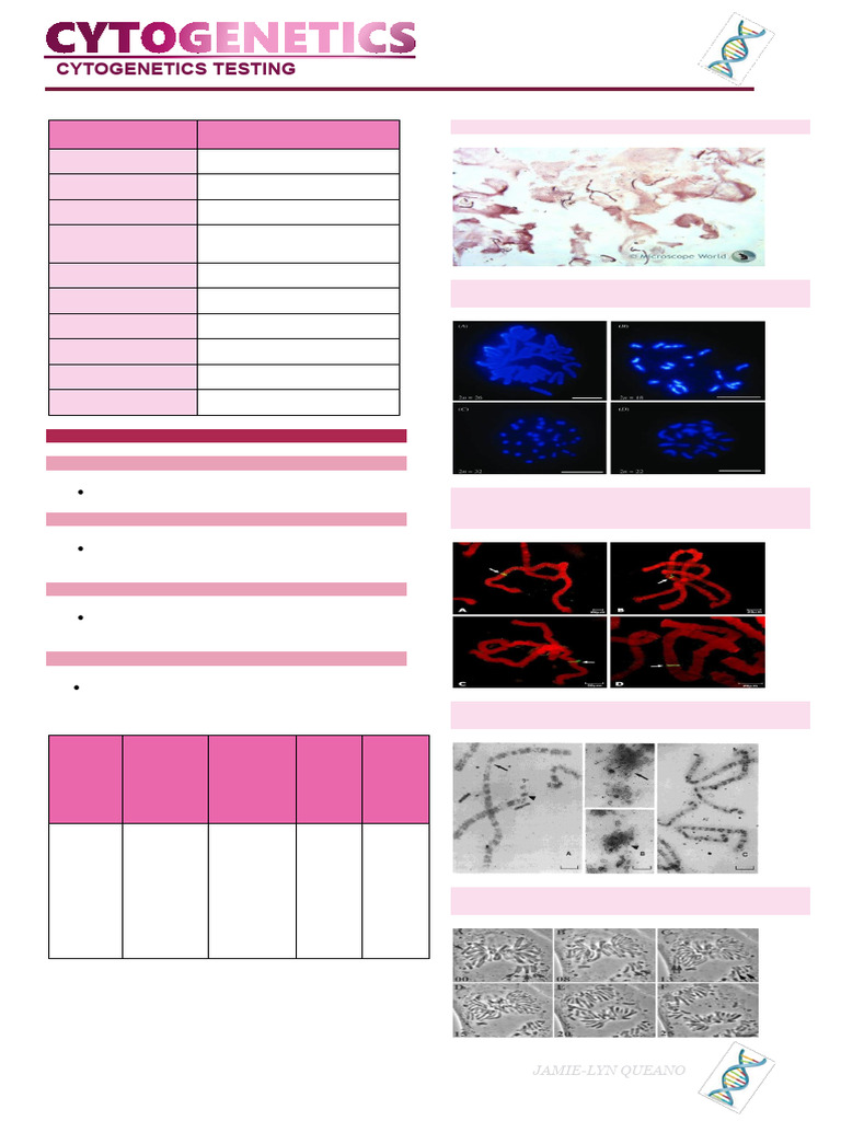 Comprehensive Guide to Cytogenetics Testing | PDF | Fluorescence In ...