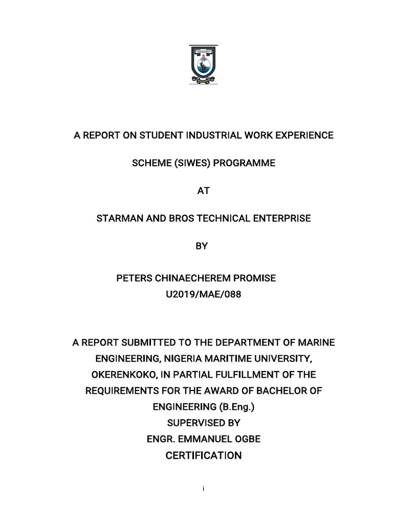 Peters, Chinaecherem, Promise, It, Report | PDF | Engines | Piston