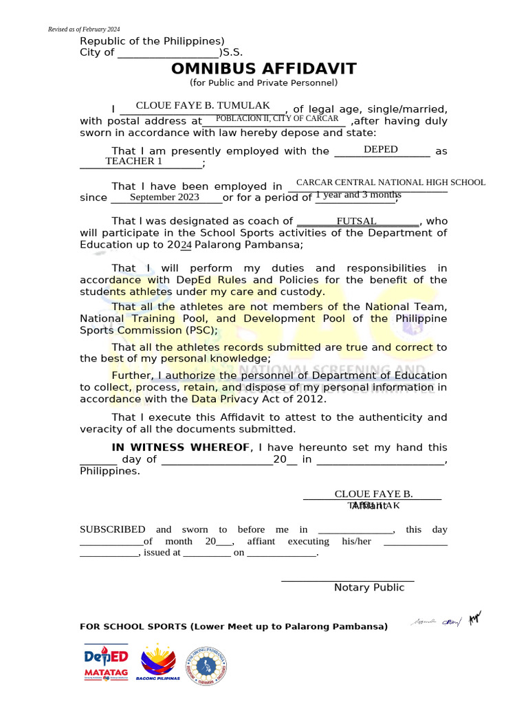 Omnibus-Affidavit v2024 | PDF | Affidavit | Government