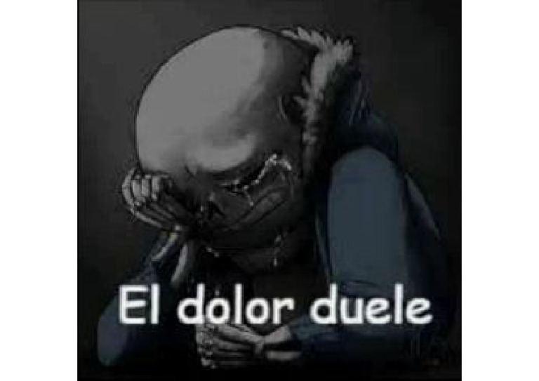 PDFReader 20250110 0126 | PDF