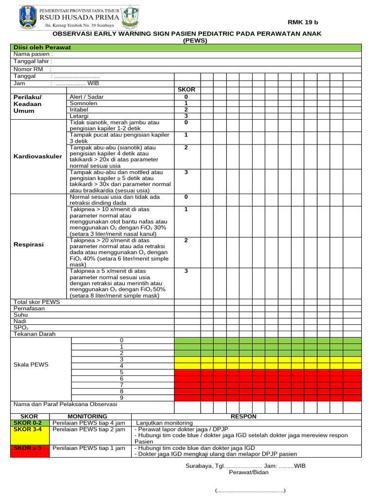 RMK 19 b ASESMEN PEWS (revisi) | PDF