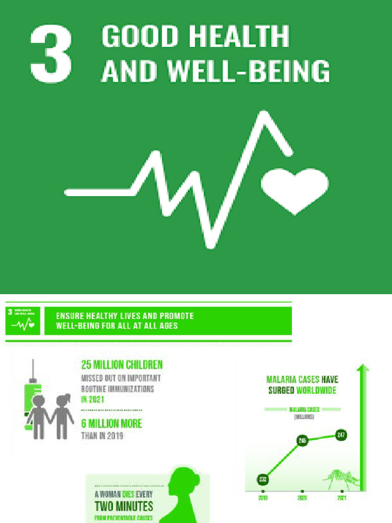 SDG 3 | PDF