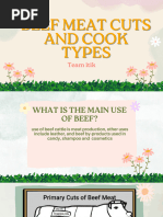 Beef Cuts Guide for BBQ Enthusiasts | PDF