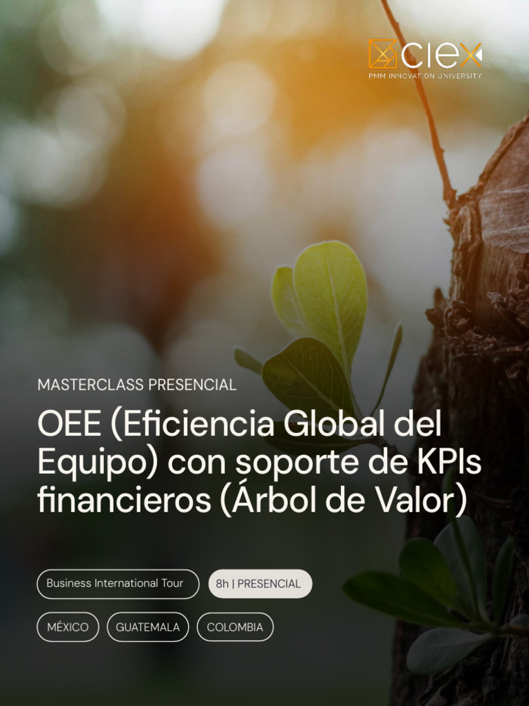 BIT - OEE Con Soporte de KPIs Financieros Oct24 | PDF | Indicador de ...