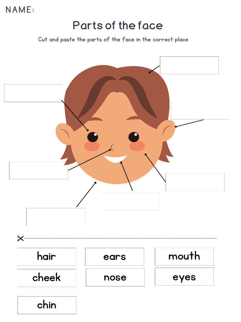 Face Parts Cut and Paste Worksheet | PDF