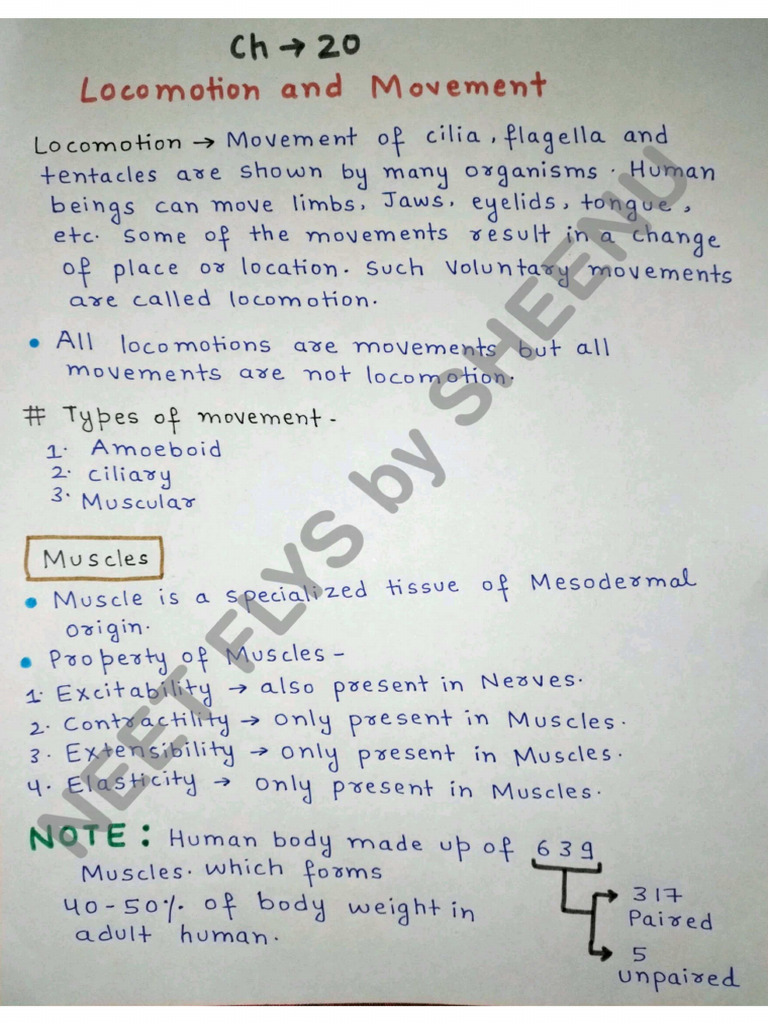 Locomotion and Movement.... | PDF