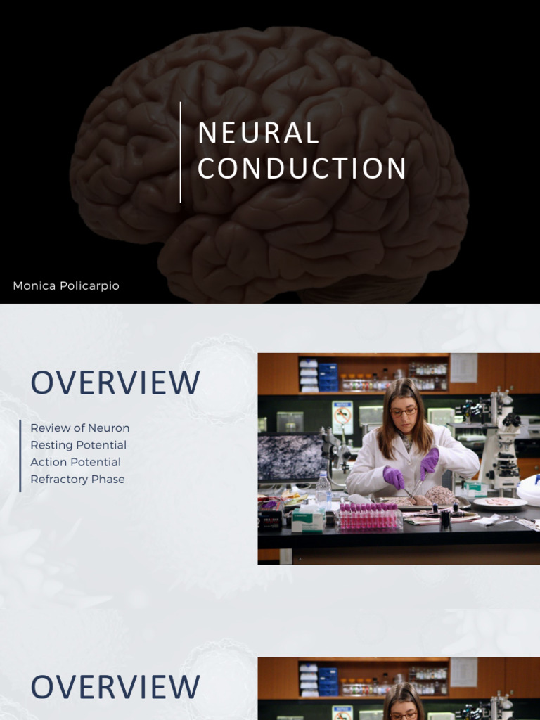 Neural Conduction | PDF | Membrane Potential | Action Potential