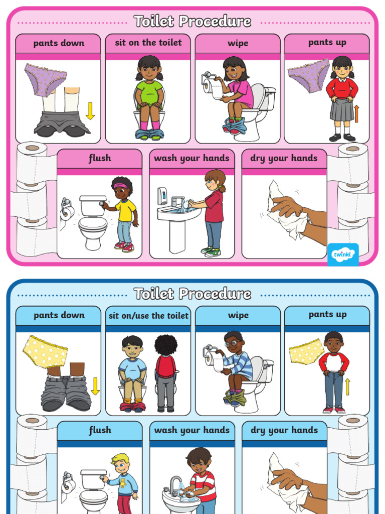 Toilet Procedure (Paper Towel Version) | PDF