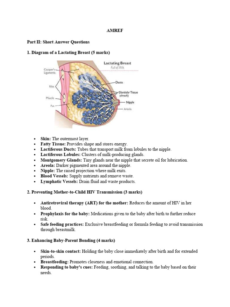 Amref pp2 saq laq q&a | PDF | Childbirth | Breastfeeding