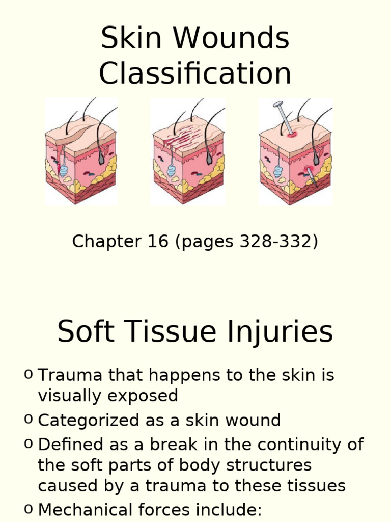 4 Skin Wounds Classifications Full | PDF | Wound | Methicillin ...