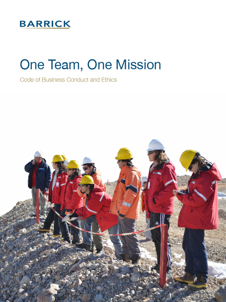 Code of Business Conduct Overview | PDF | Business Ethics | Business