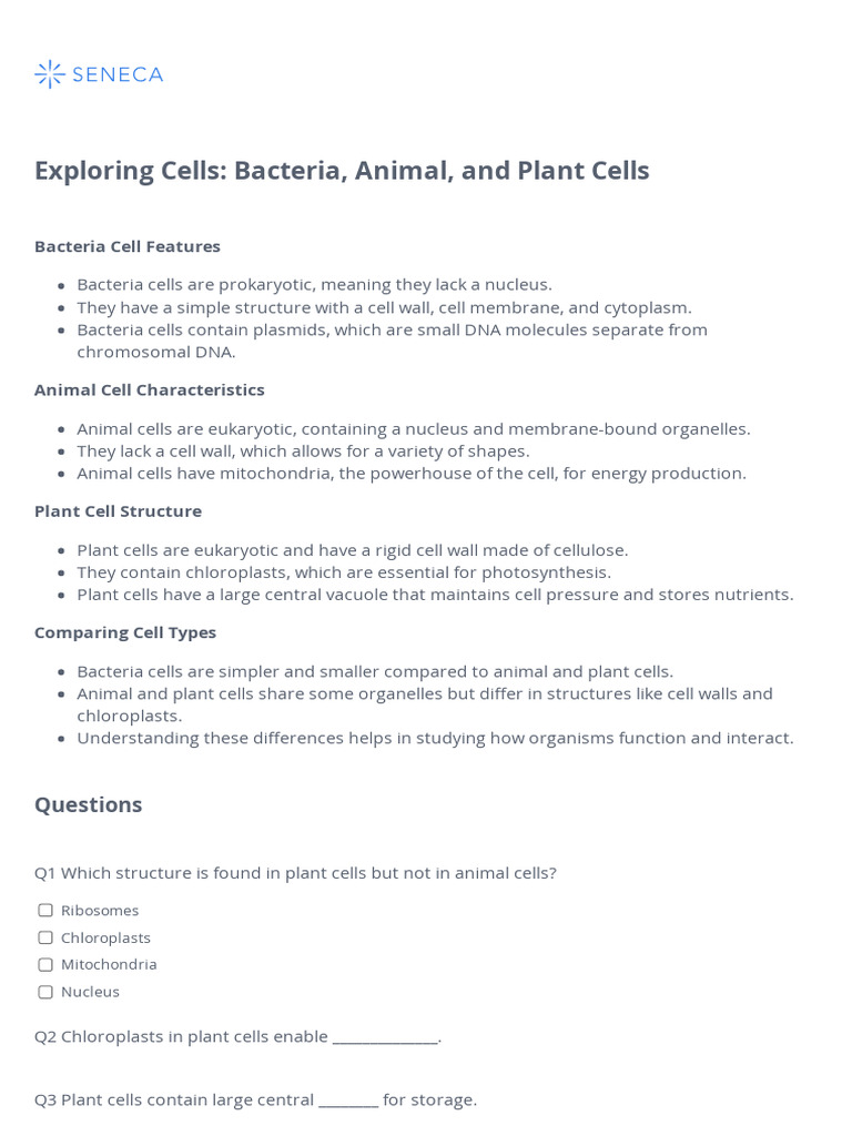Exploring - Cells - Bacteria - Animal - and - Plant - Cells 33 | PDF ...