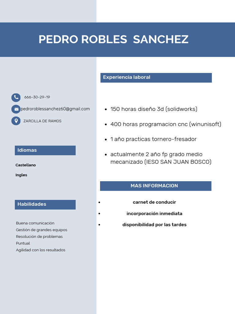 Currículum Pedro Robles Sanchez | PDF
