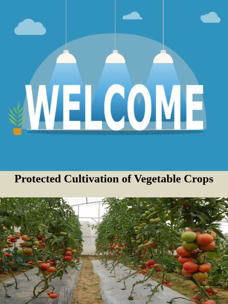 Benefits of Protected Vegetable Cultivation | PDF | Agriculture ...