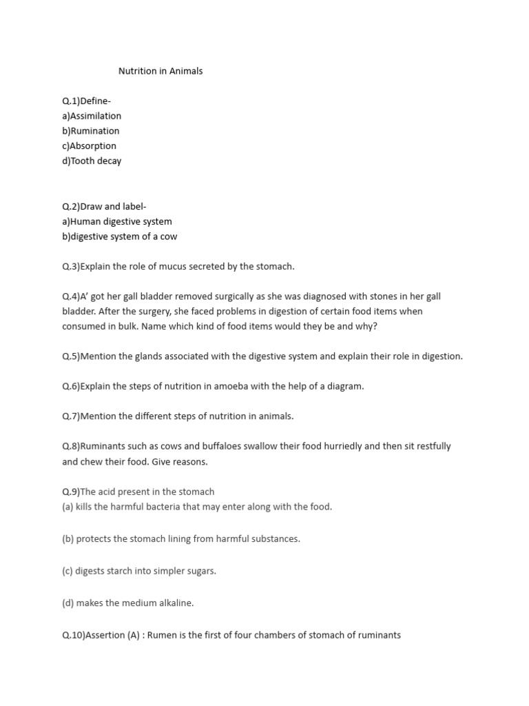 Worksheet 2 Class 7 Science | PDF