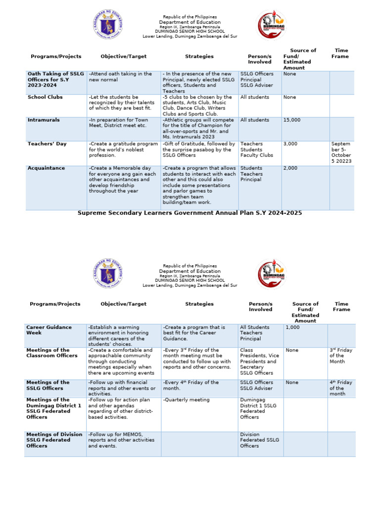 Sslg-Action-Plan - 2025 | PDF
