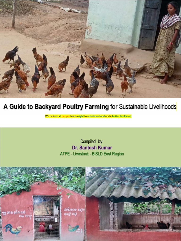 Backyard Poultry Farming Guide | PDF | Chicken | Poultry