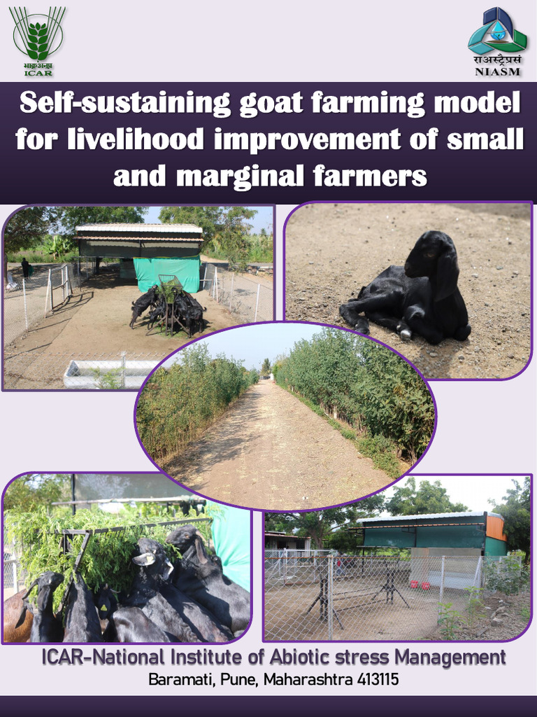 Goat Farming Model for Livelihood Boost | PDF | Sowing | Agriculture