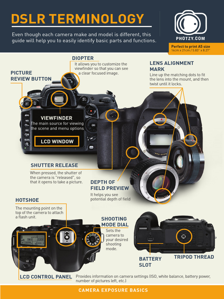 DSLR Camera Basics Guide | PDF