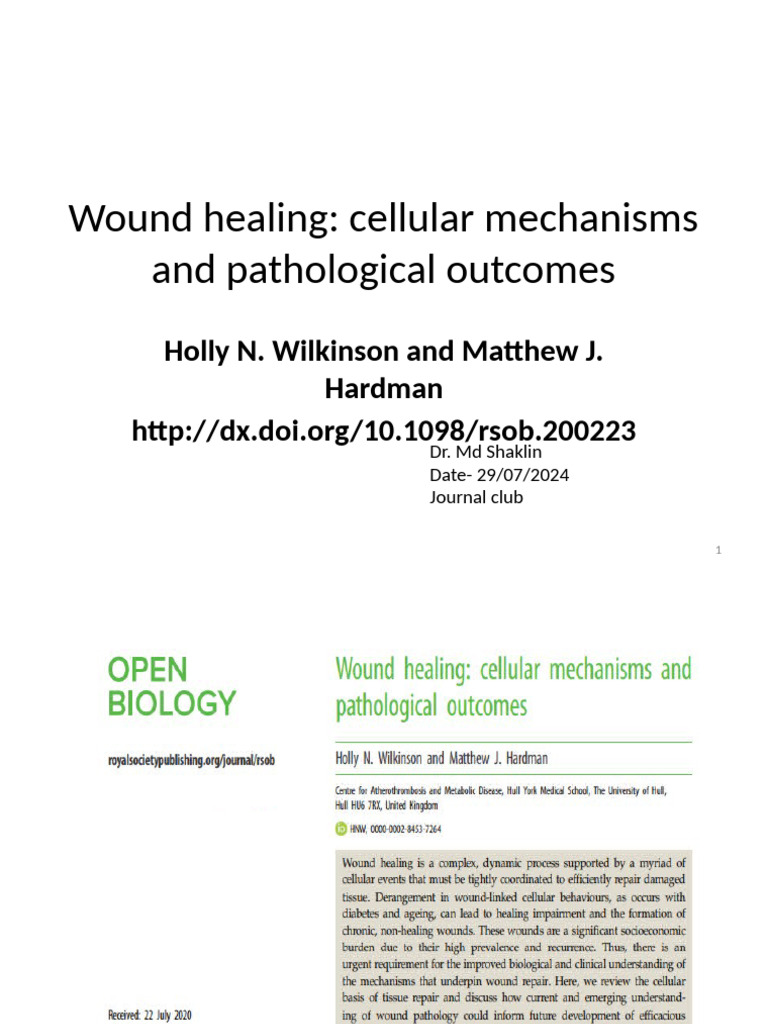 Wound Healing Pdf Inflammation Macrophage