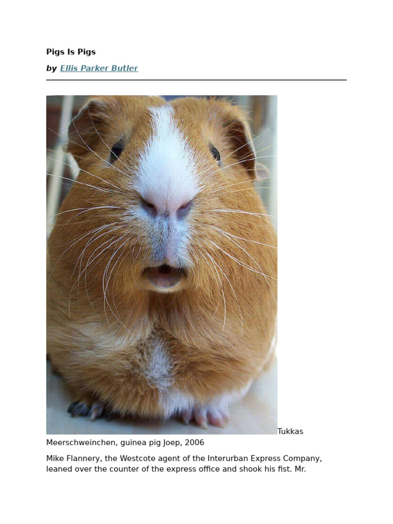 Pigs Is Pigs | PDF | Guinea Pig