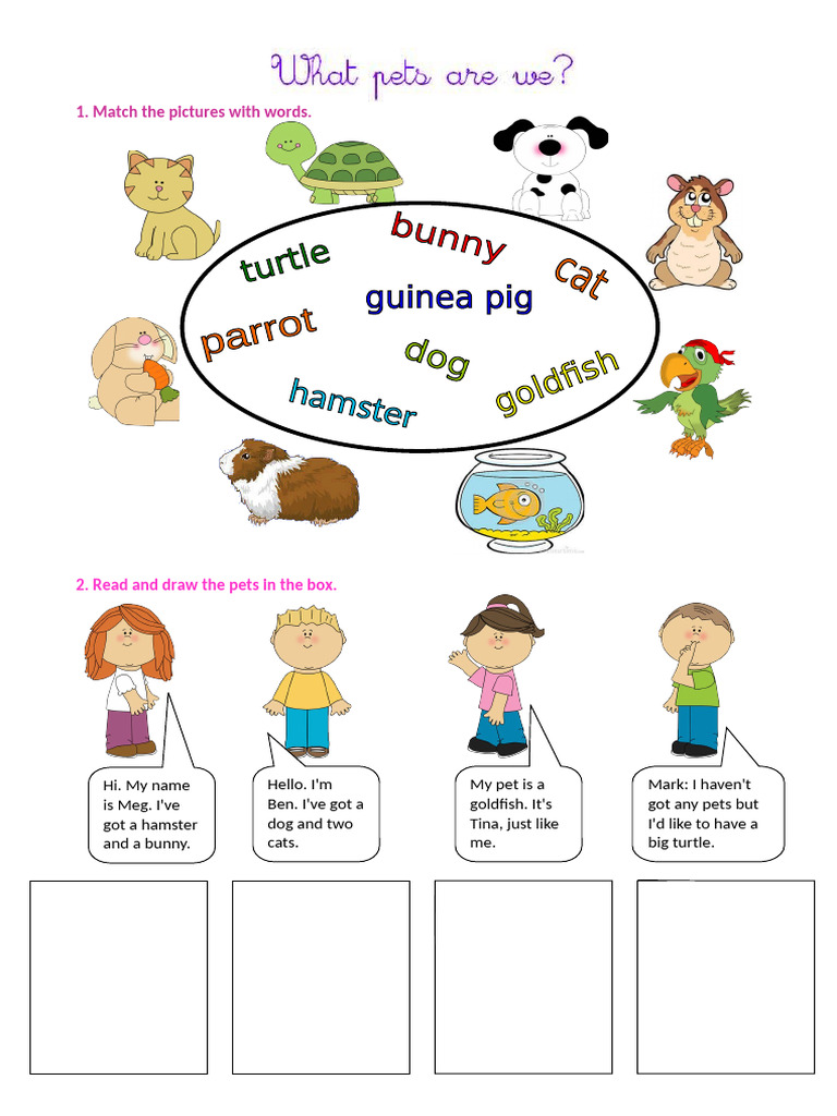 Pets Picture Dictionaries - 54074 | PDF