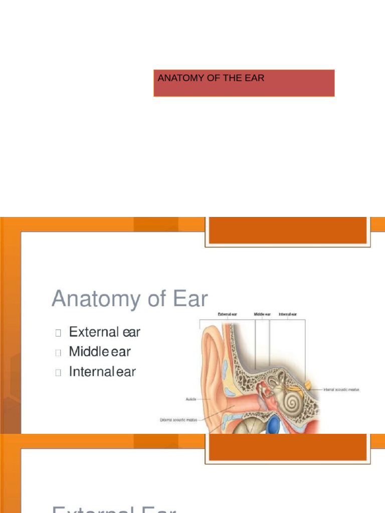 Anatomy of Ear | PDF