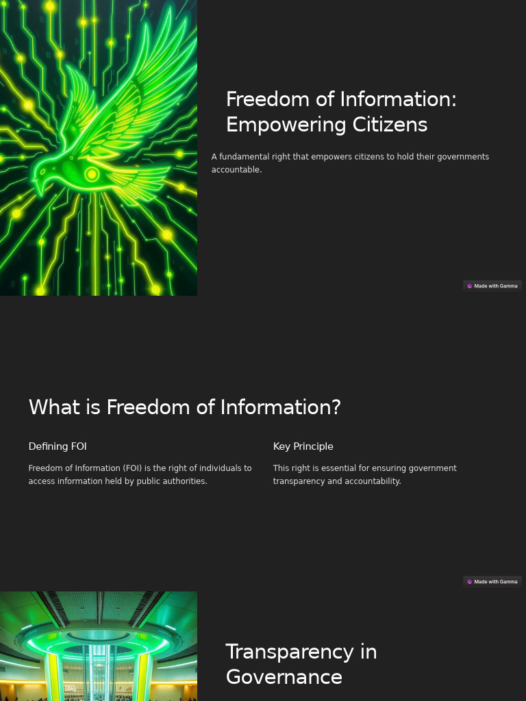 Freedom-of-Information-Empowering-Citizens | PDF | Freedom Of ...