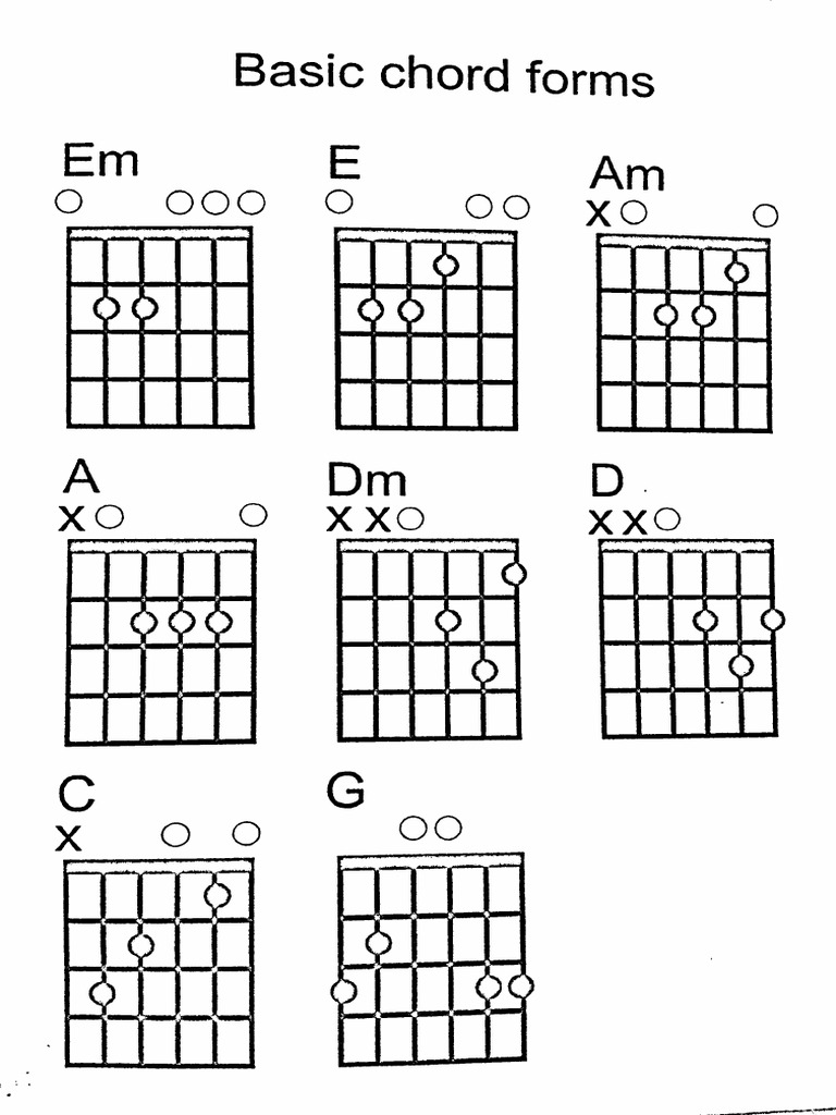 Basic chord forms | PDF