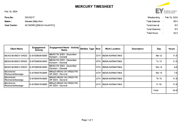 Timesheet 3rd Week Feb 2024 | PDF
