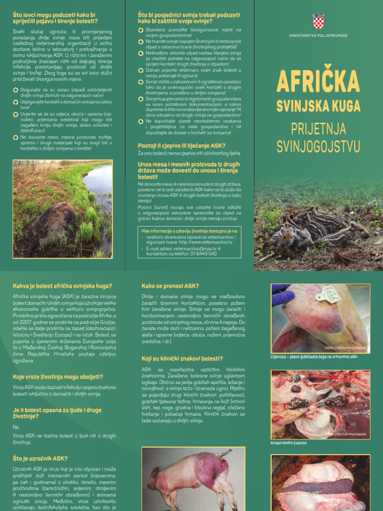 Letak Africka Svinjska Kuga | PDF