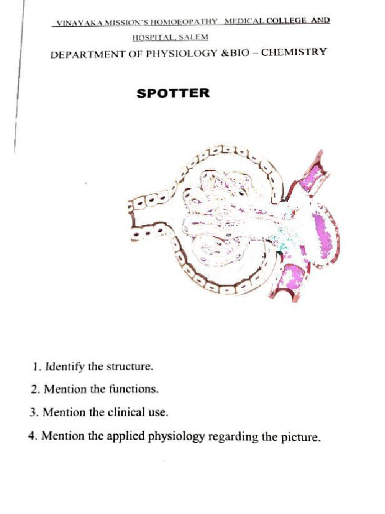 Spotters Physiology | PDF