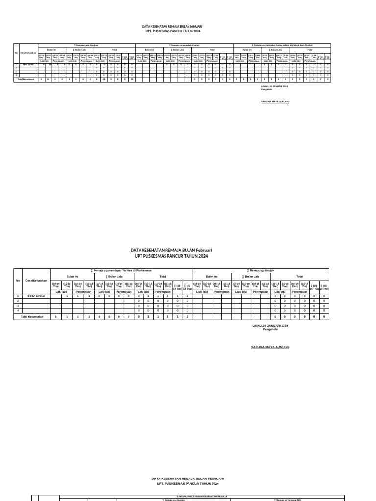 LAPoran REMAJA JAN MAYA | PDF