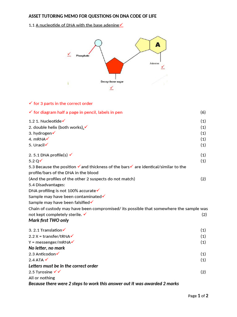 Memo For Questions On DNA Code of Life 29 August | PDF | Dna ...