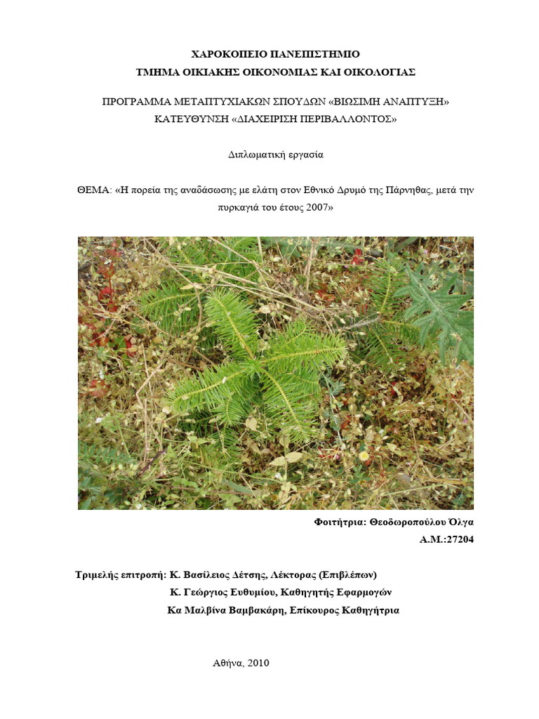 Theodoropoulou - Olga | PDF