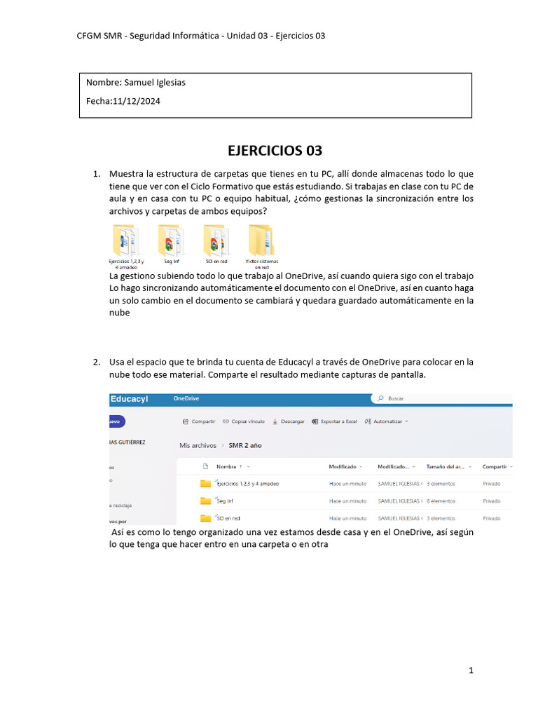 CFGM SMR - Seguridad Informática - Unidad 03 - Ejercicios 03 Disponibilidad | PDF