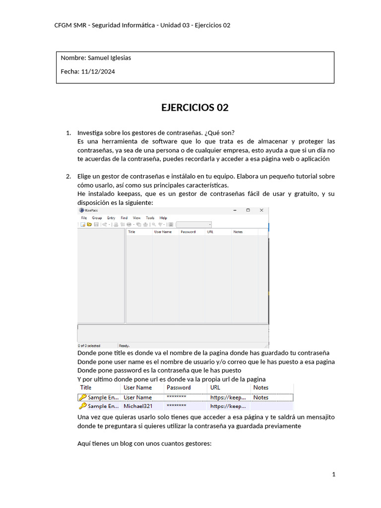 CFGM SMR - Seguridad Informática - Unidad 03 - Ejercicios 02 Accesibilidad | PDF