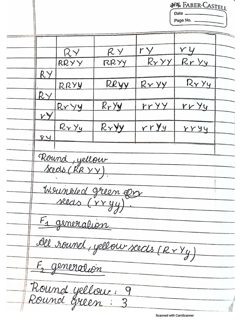 Test On Dihybrid Crossing | PDF