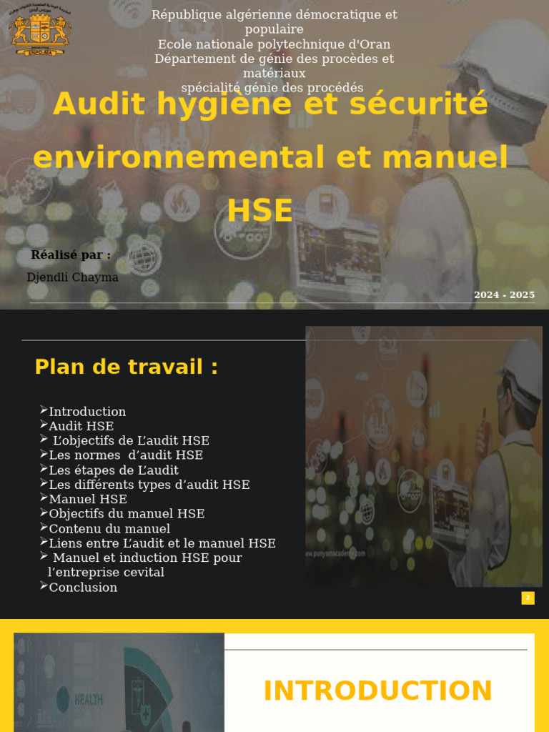 Audit Hygiène Et Sécurité Environnemental Et Manuel HSE | PDF | Audit | Sécurité