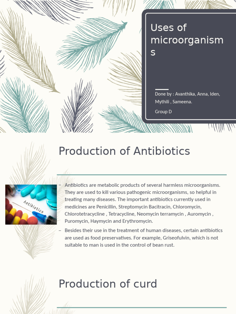 Key Uses of Microorganisms in Medicine | PDF | Microorganism | Yeast